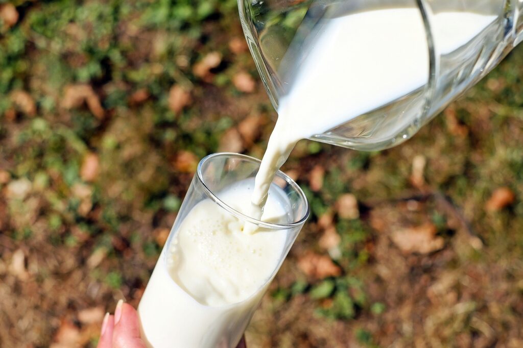 How to Make Powdered Milk - Become Self Sufficient